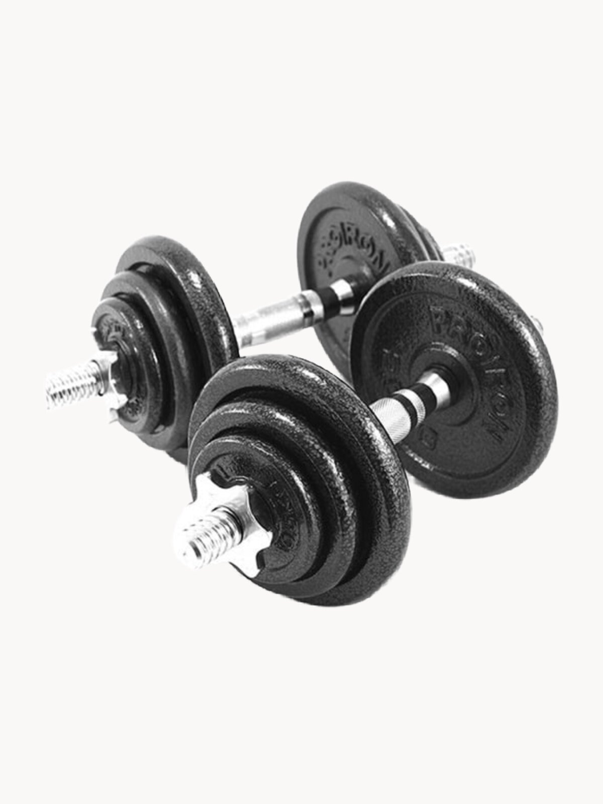 Гантели разборные PROIRON, 2шт по 10кг, с грифом, чугунные, разборные