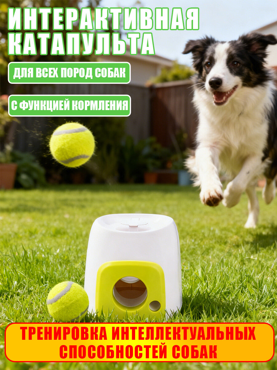Катапульта мячей для собак интерактивная OZBERRY с 3 мячами