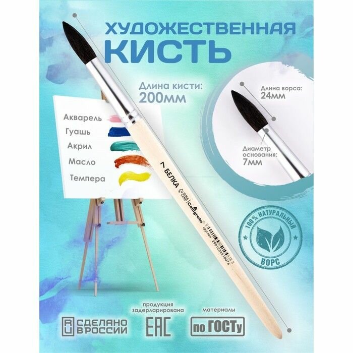 Кисть Calligrata Белка, круглая № 7, диаметр обоймы 7 мм, длина волоса 24 мм