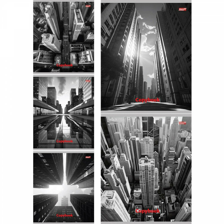 Тетрадь А5 клетка 48 листов скоба (Prof-Press) Мегаполис в черно-белом цветная мелованная обложка ассорти арт.48-5748. Количество в наборе 5 шт.