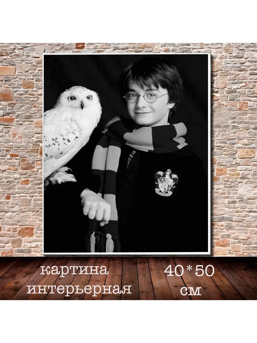 Картина интерьерная на стену 50x40