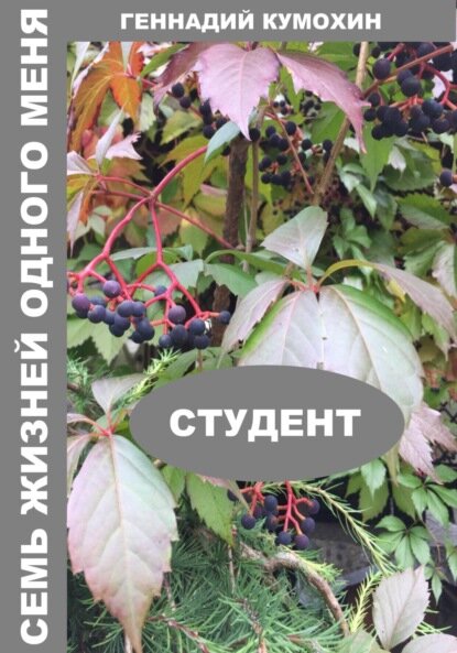 Семь жизней одного меня. Студент [Цифровая книга]