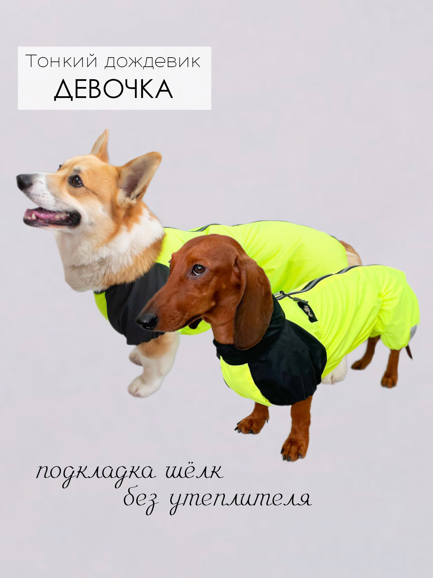 Комбинезон для собак, дождевик для собак Такса и Корги Лайм
