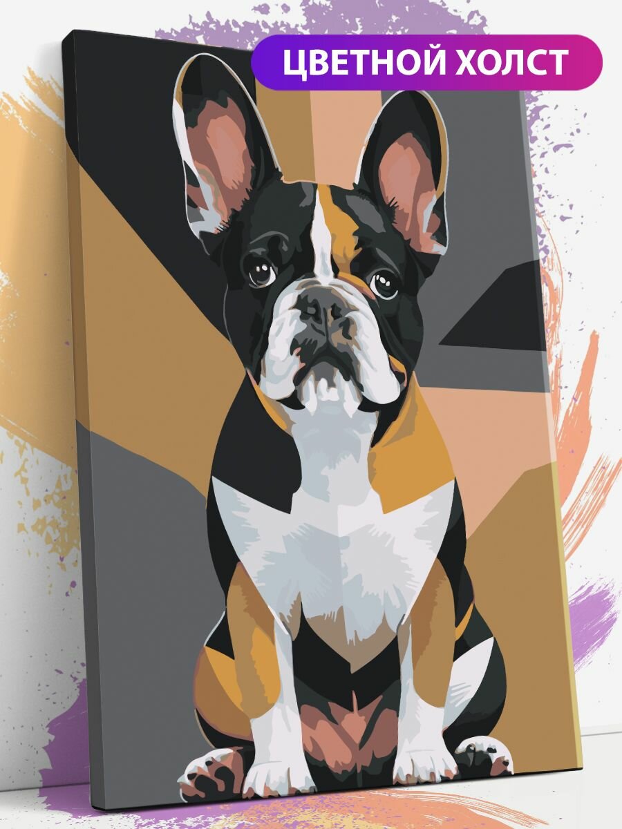 Картина по номерам на холсте с подрамником "Бульдог. Собака", 30х40 см