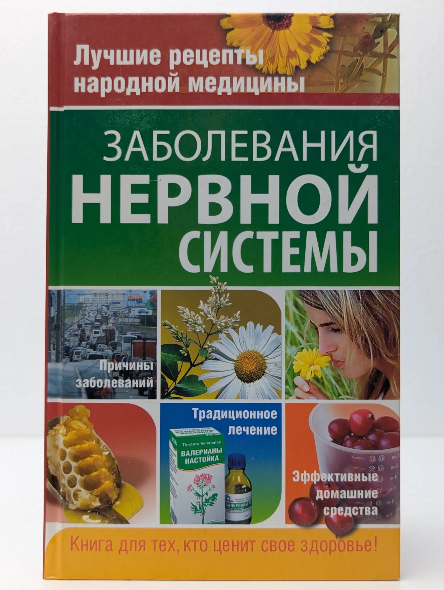 Заболевания нервной системы Ионова Анна Алексеевна, Храмова Елена Юрьевна 2010