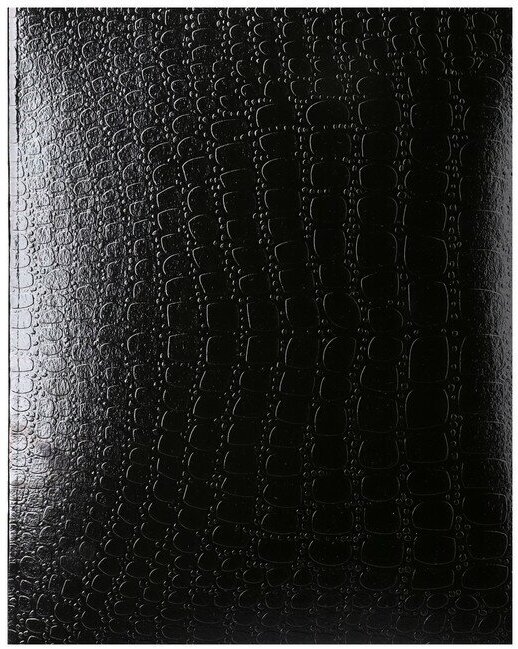 Тетрадь 48 листов в клетку Croco, бумвинил metallic,