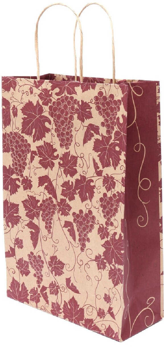 Пакет подарочный крафт "Виноградная лоза" 22*34 см, набор 10 шт.