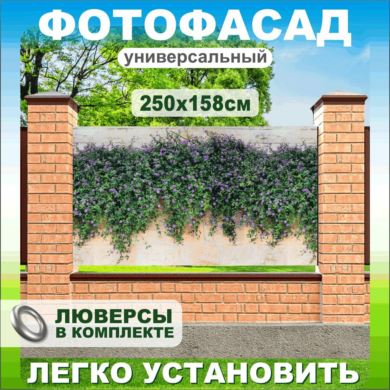 Фотофасад Бежевая стена и фиолетовые цветы 250х158