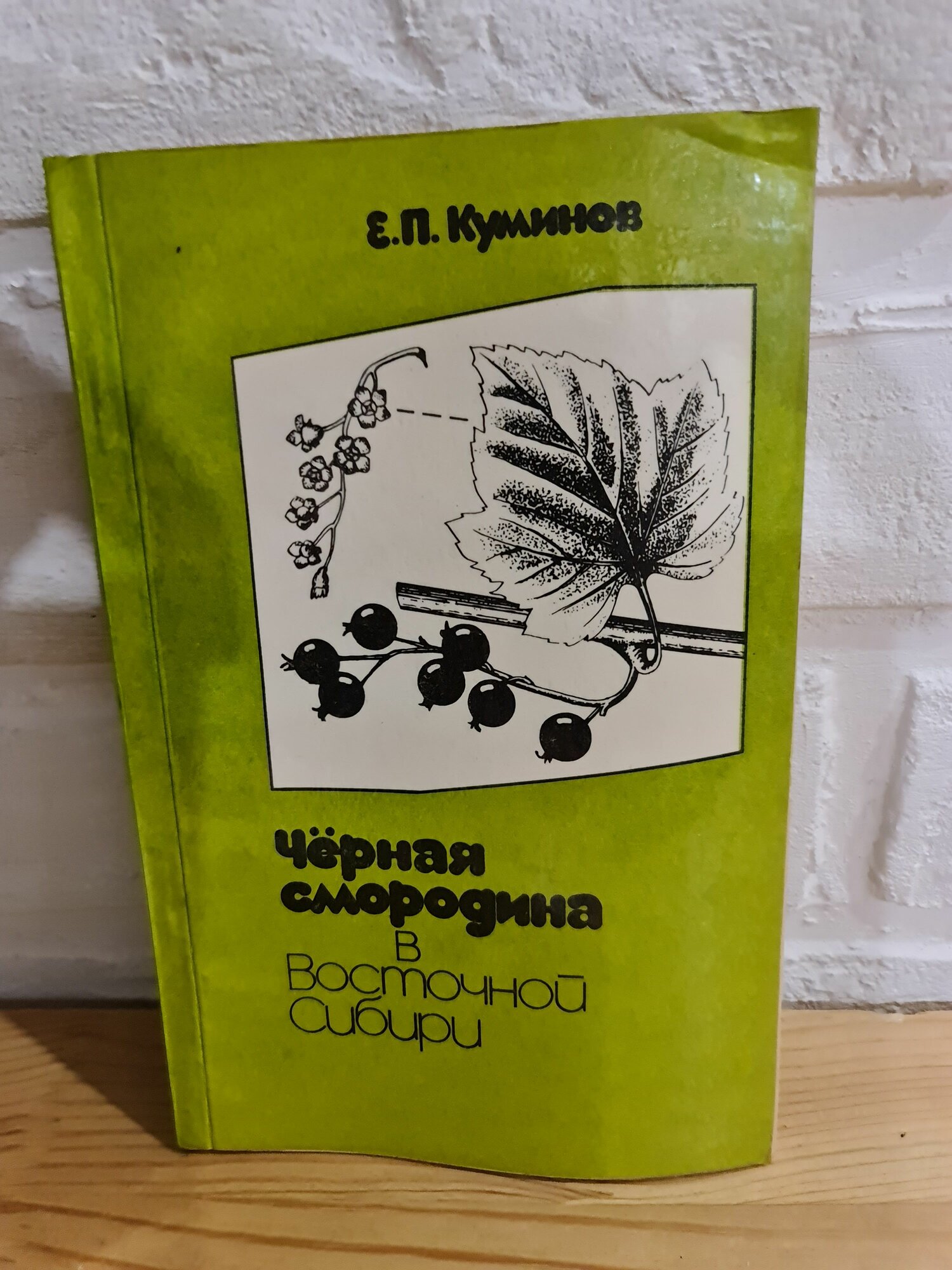 Редкая книга Е. П. Куминов "Черная смородина в Восточной Сибири", Красноярск, 1983г. Региональное издание