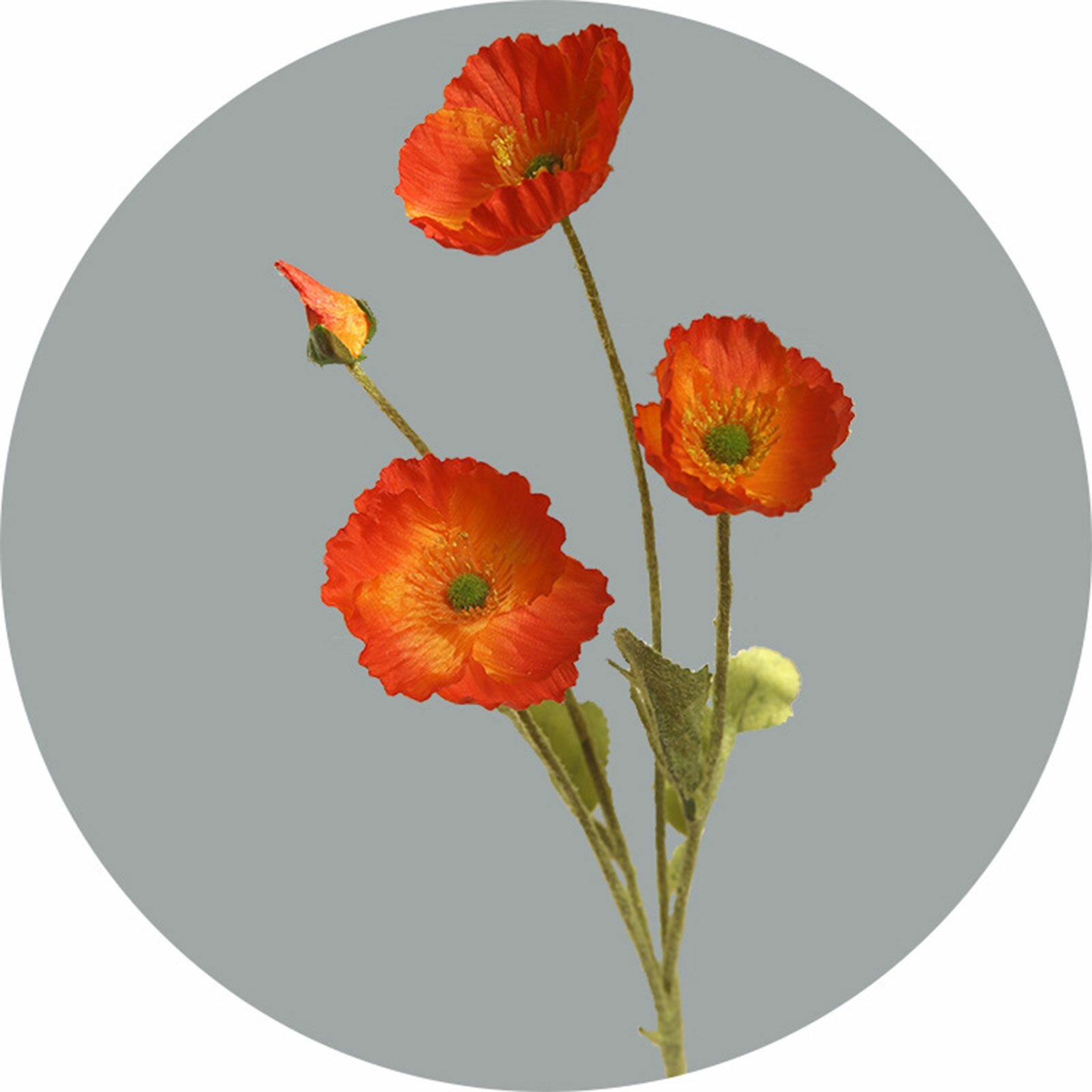 Имитация декоративного букета из четырехголовых маков оранжево-красного цвета