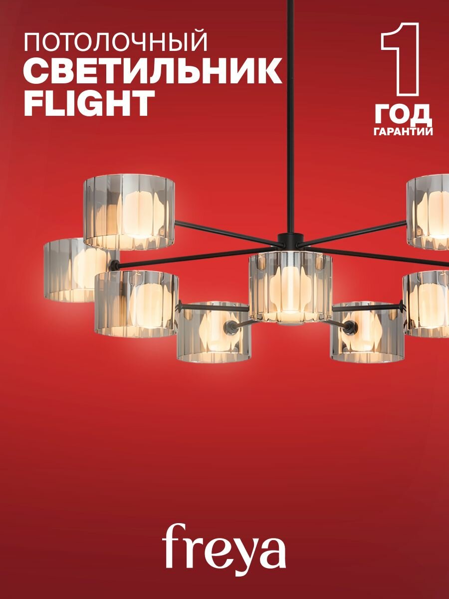 Светильник потолочный подвесной черный Freya Flight FR5544CL-10B