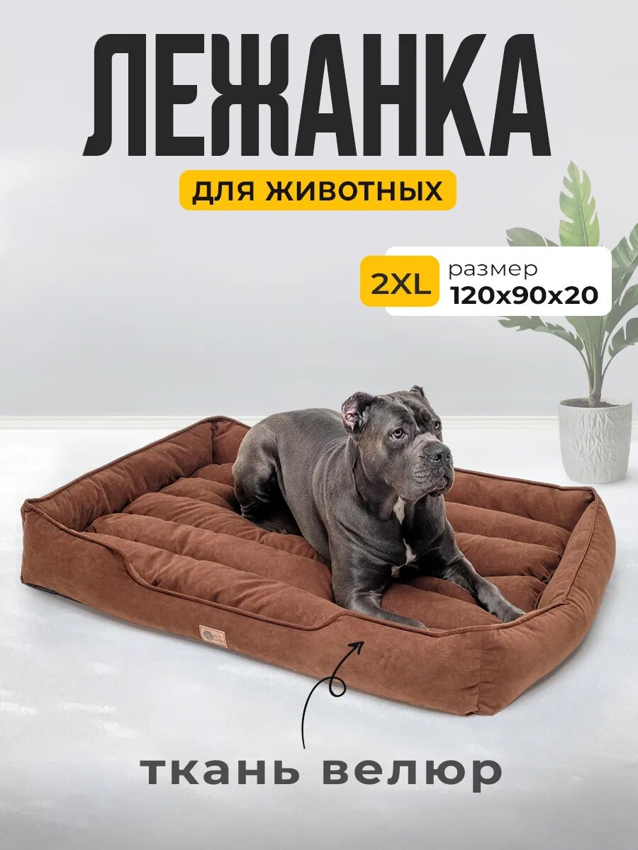 Лежанка для Кошек и Собак Большая с Бортиками и Подушкой