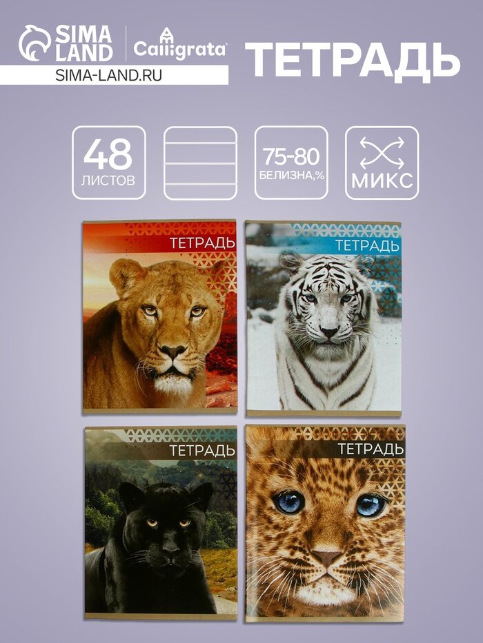 Тетрадь Дикие кошки, 48 листов, в клетку, микс, 10 шт.