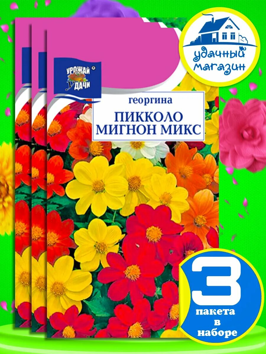 Семена георгины "Пикколо Мигнон Микс", низкорослые, однолетние, махровые, 3 пакета