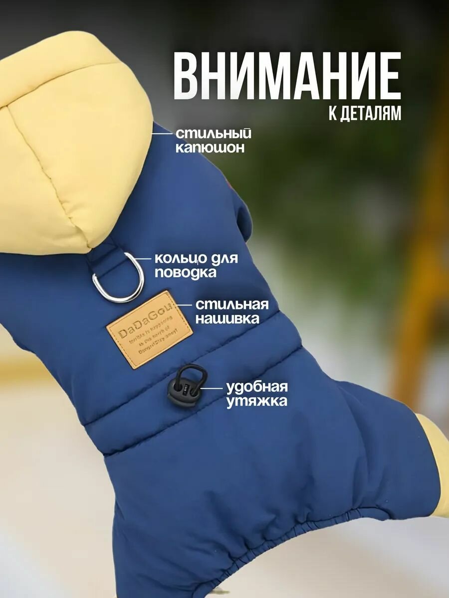 Одежда для животных — фото 1
