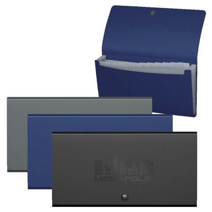 Erich Krause Папка-картотека пластиковая 12 отделов Erich Krause "MEGAPOLIS" Check size, серая