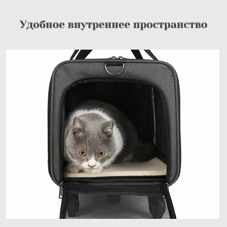 Автобокс для животных — фото 1