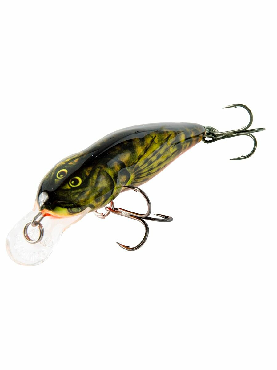 Воблер плавающий Salmo BULLHEAD F 06/HBD