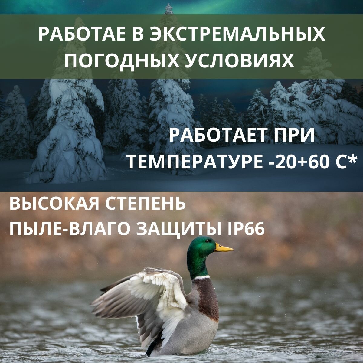 Фотоловушка — фото 1