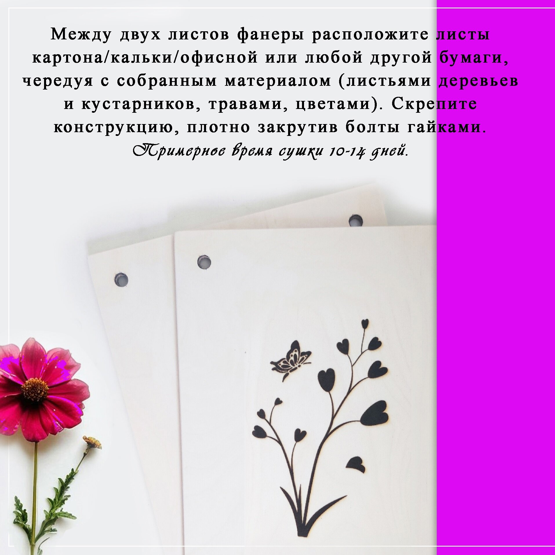 Пресс для гербария — фото 1