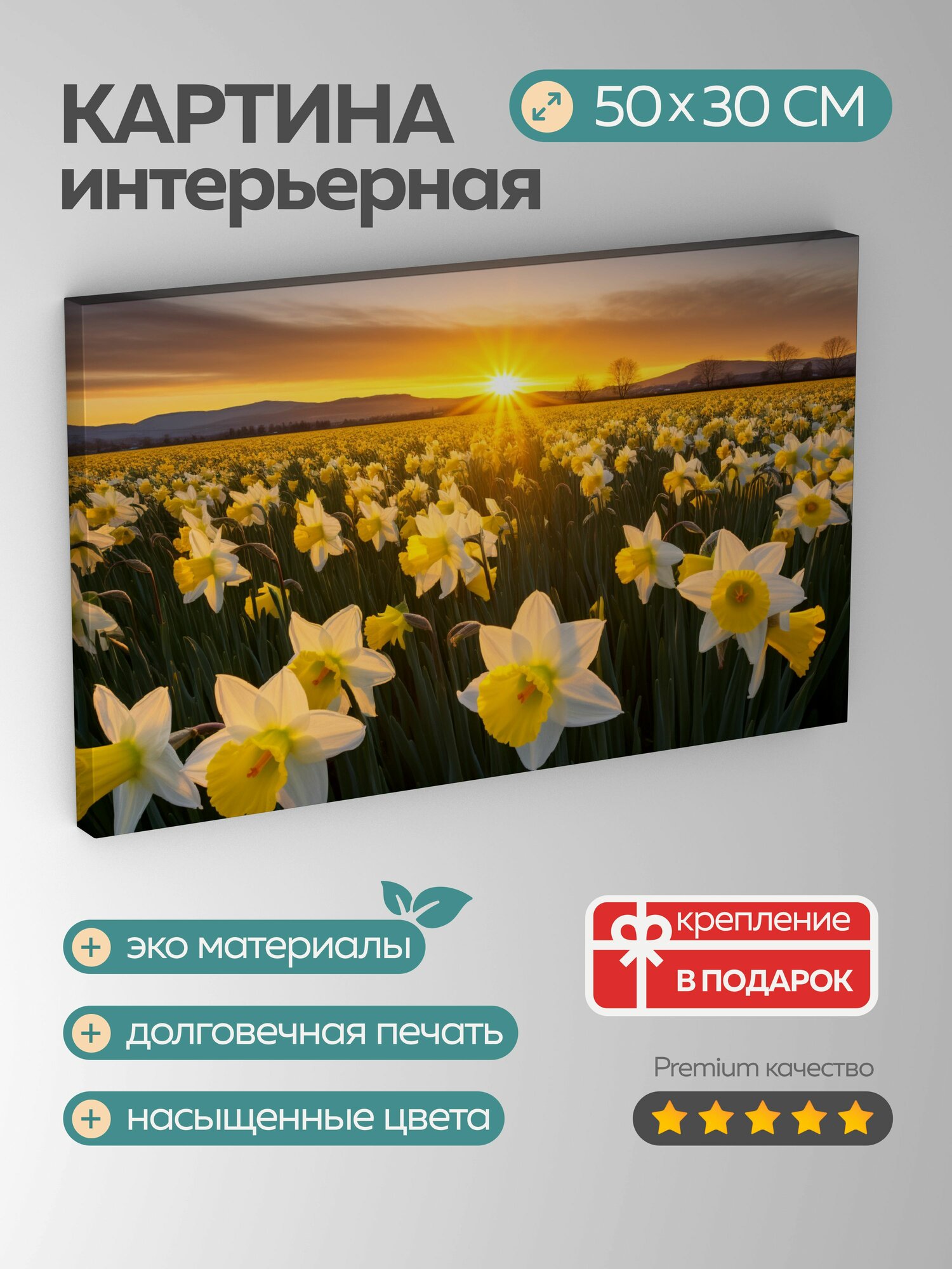 Картина на холсте интерьерная 50х30 см, нарциссы, поле, высокое разрешение, золотистый свет, яркие цветы, желтый