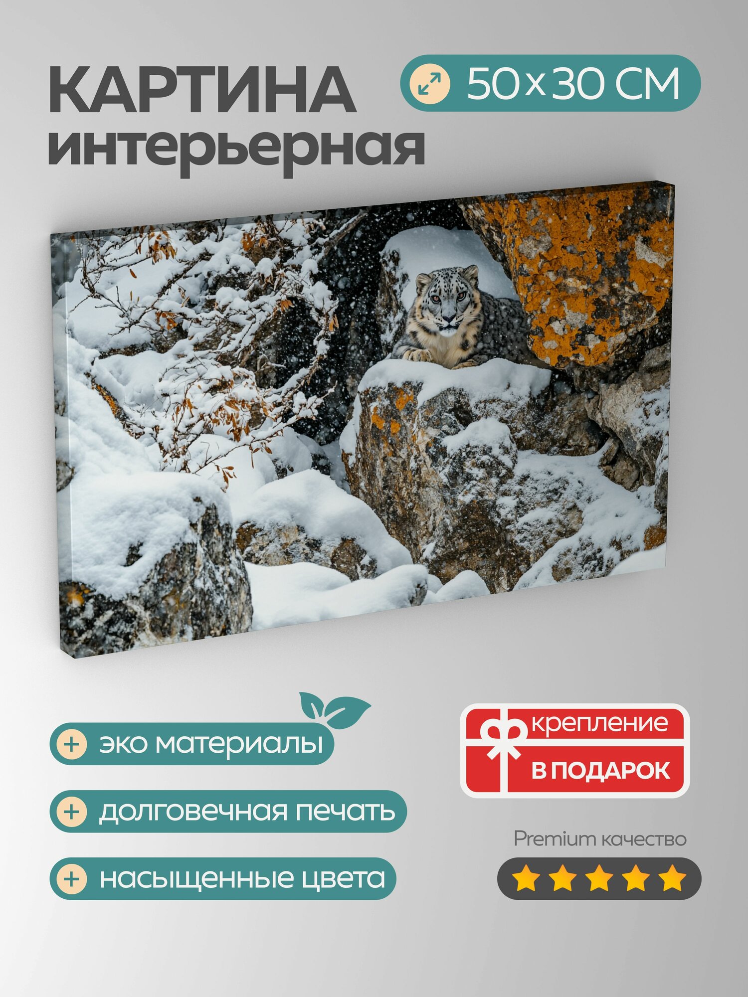 Картина на холсте интерьерная 50х30 см, снежный барс, заснеженные скалы, фокус, четкость, взгляд, зимняя обстановка