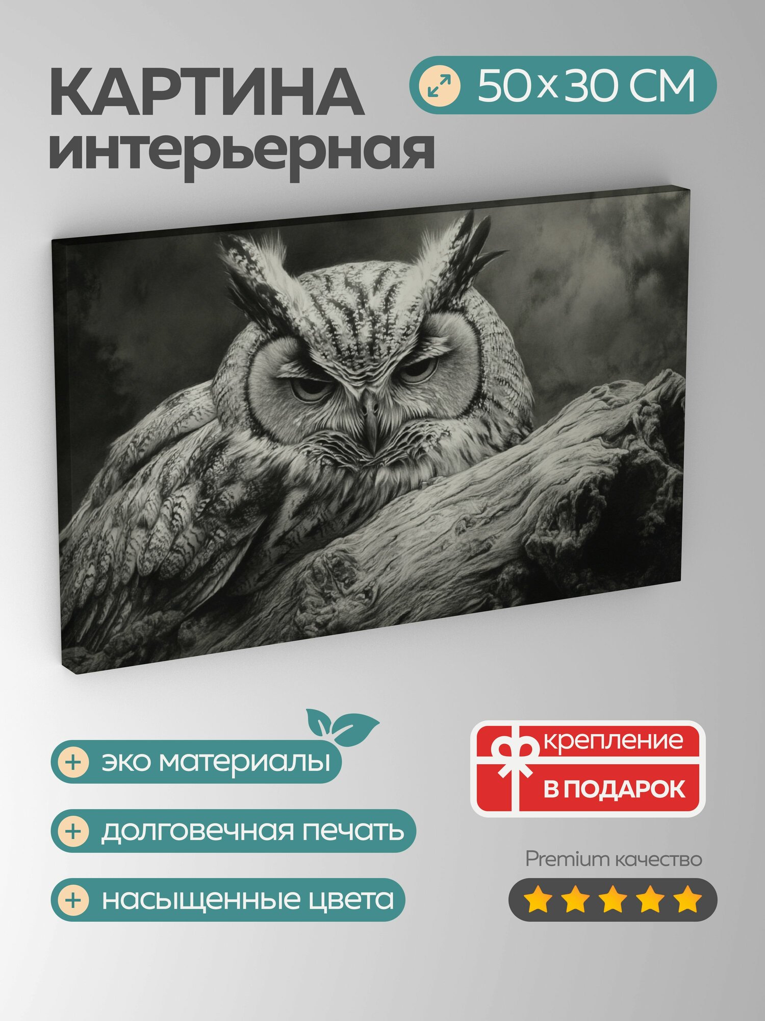 Картина на холсте интерьерная 50х30 см, сова, уголь, ветка, перья, взгляд, монохромная палитра, глубина, загадочность