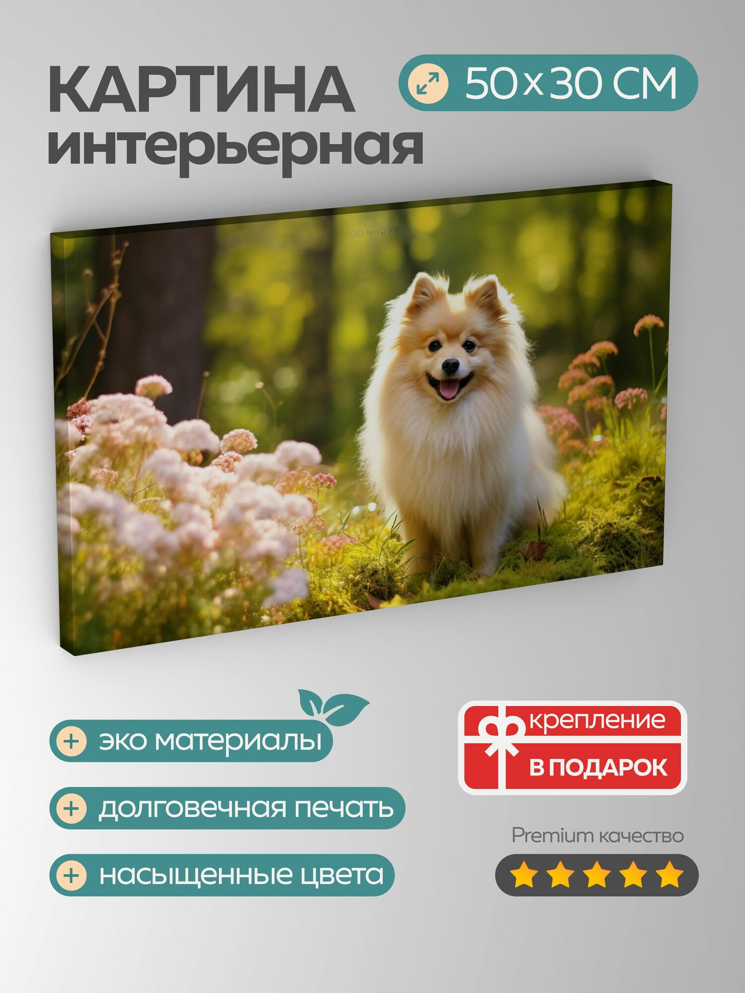 Картина на холсте интерьерная 50х30 см, собака, шпиц, фотография, элегантная, красота, кроткое поведение