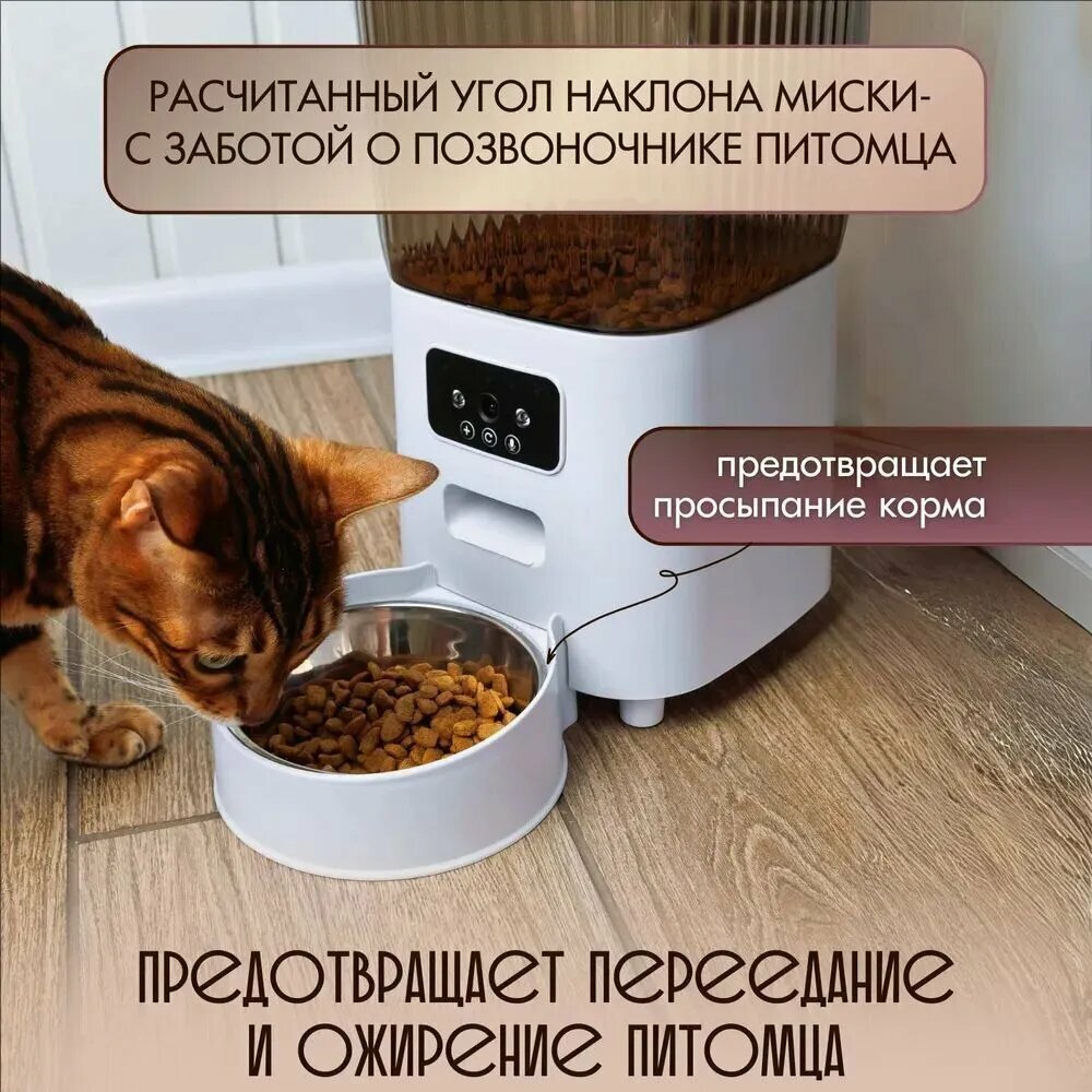 Автокормушка — фото 1