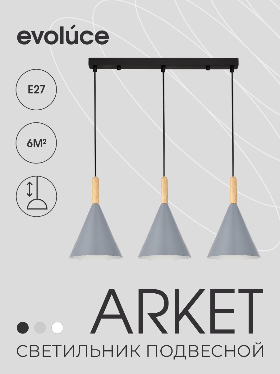 Светильник подвесной, подвес Evoluce Черный/Серый E27 3*40W SLE1255-413-03