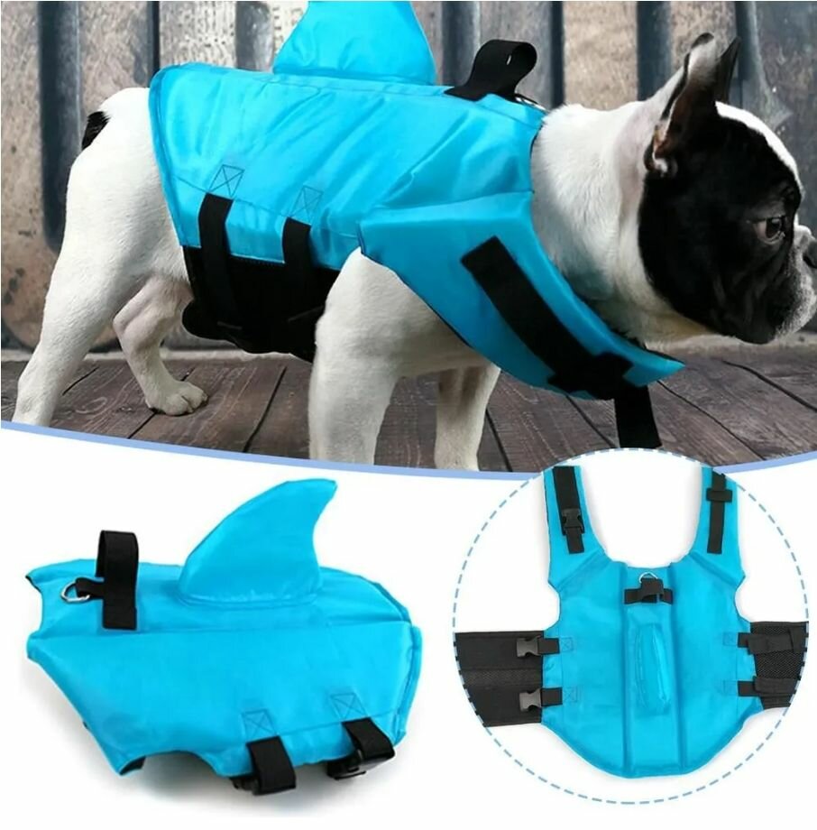 Купальник с акулой для домашних собак, купальник для маленькой собаки