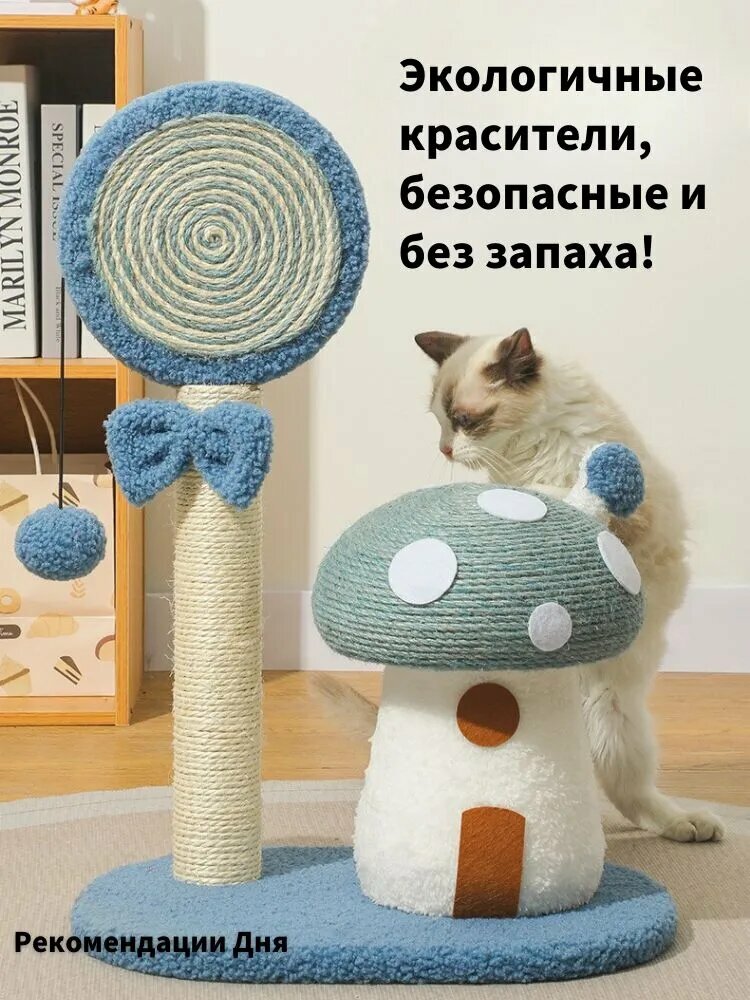 Доска для кошачьих когтеток, Царапки и Игры