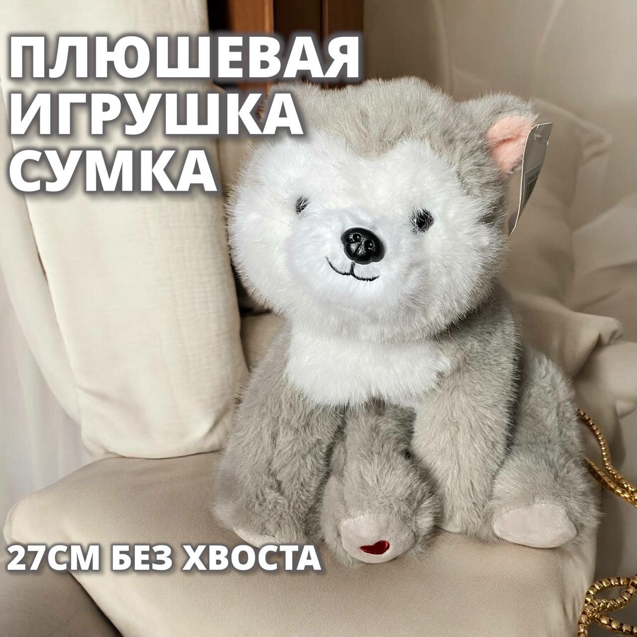 Сумка-рюкзак SPECTRUM