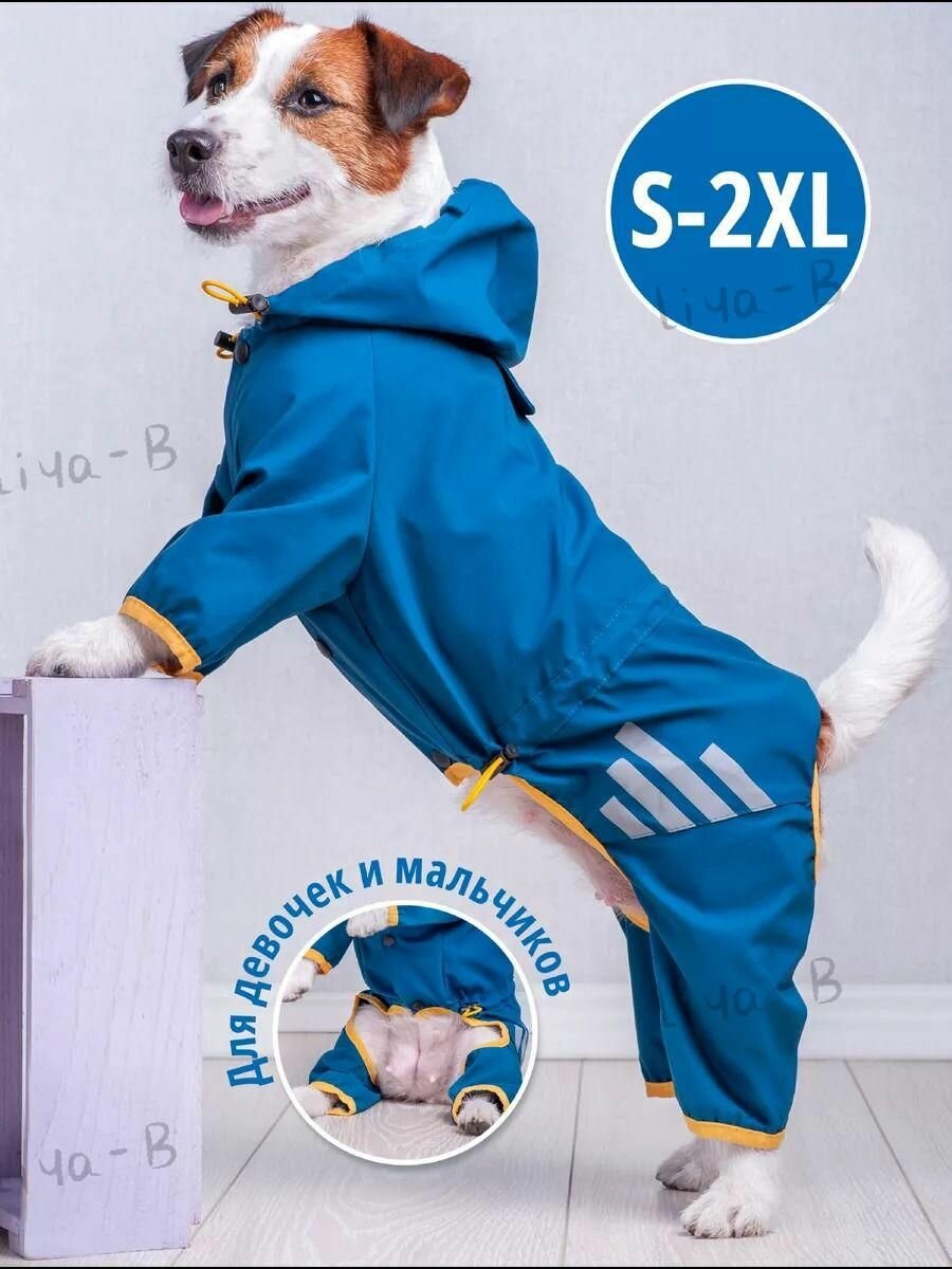 Одежда для собак дождевик