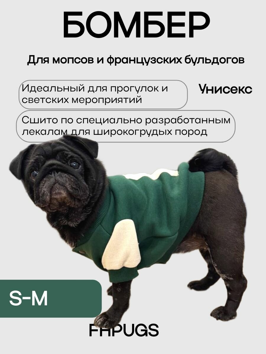 Бомбер-толстовка, размер S, для мопсов и французских бульдогов, зелёный