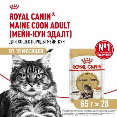 ROYAL CANIN MAINE COON ADULT 28 шт по 85 г кусочки в соусе, влажный корм для кошек породы Мейн-кун старше 15 месяцев