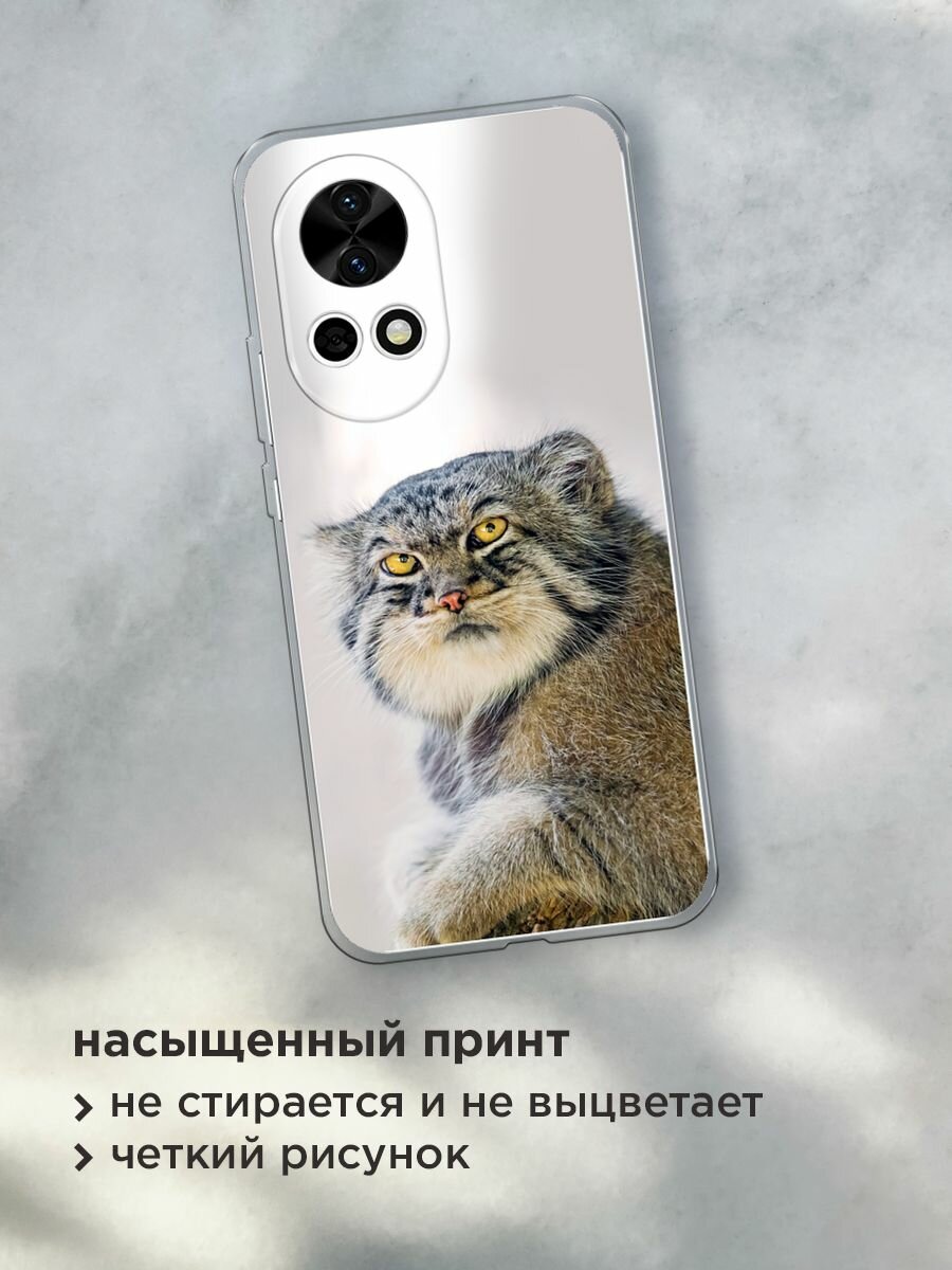 Чехол на Huawei Nova 12/Nova13 / Хуавей Нова 12/Нова 13 с принтом "Кот манул 1" — фото 1