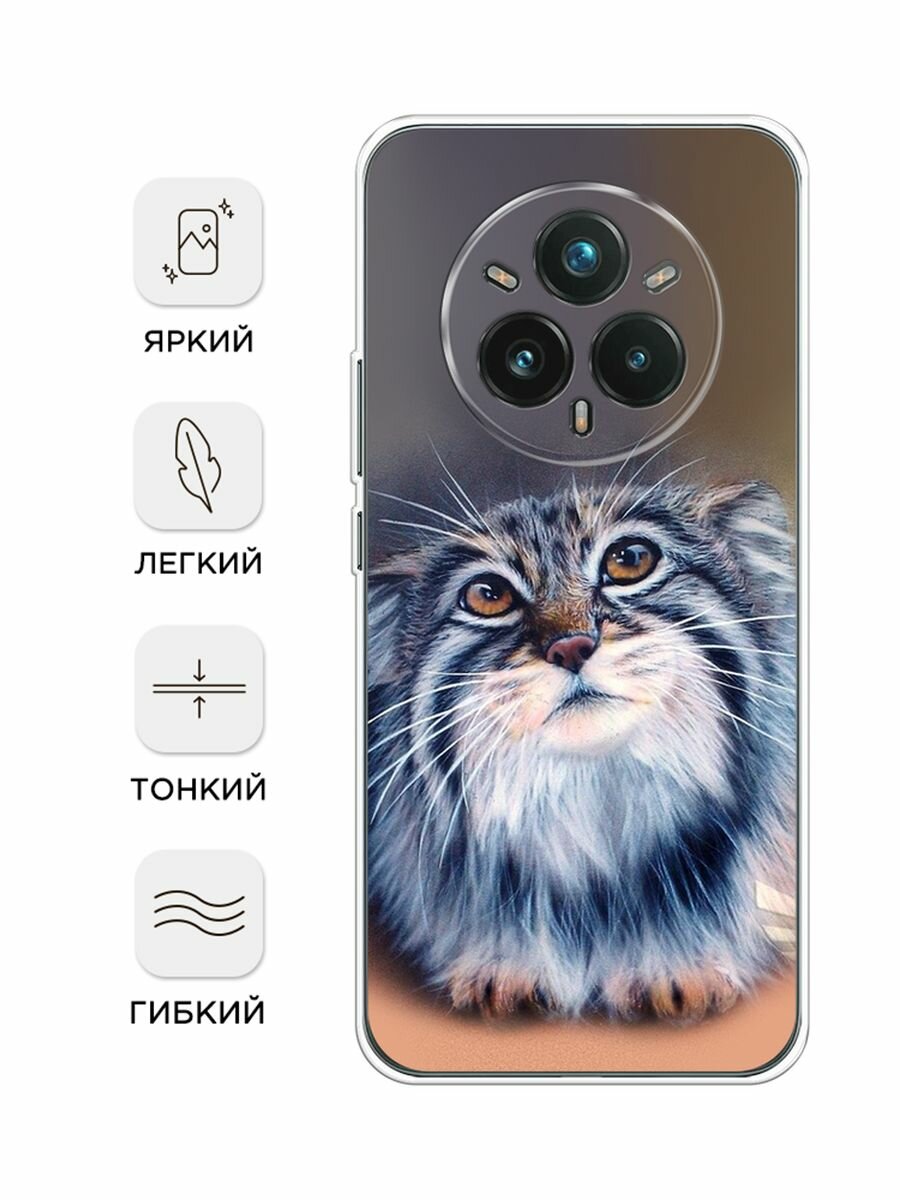 Чехол на Realme 14 Pro / Реалми 14 Про с принтом "Кот манул 2" — фото 1