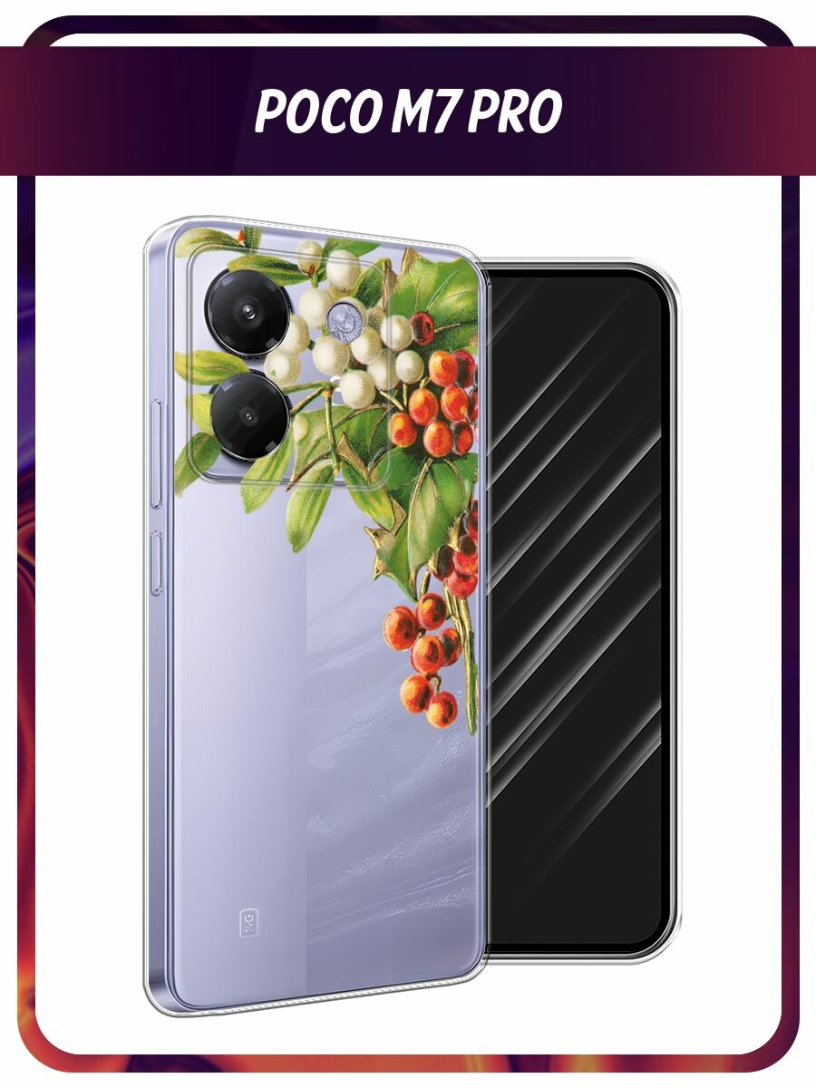 Чехол на Poco M7 Pro / Поко М7 Про с принтом Омела, прозрачный