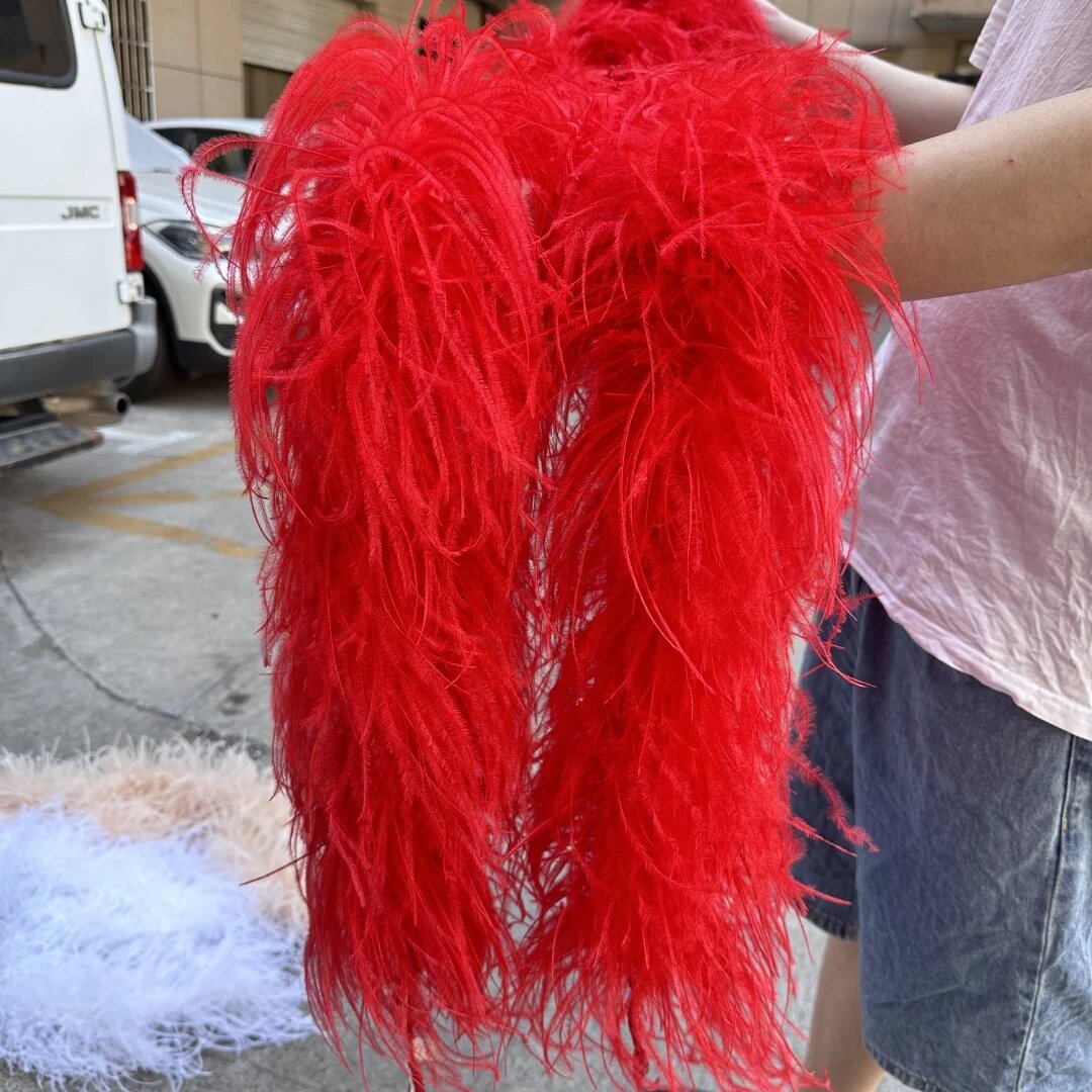 Красный боа из страусиных перьев LZA FENGJ 2 м Красный, 2M 6PLY, red