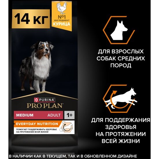 Корм сухой для взрослых собак средних пород Pro Plan Adult Medium 1+ EVERYDAY NUTRITION с высоким содержанием курицы, 14 кг