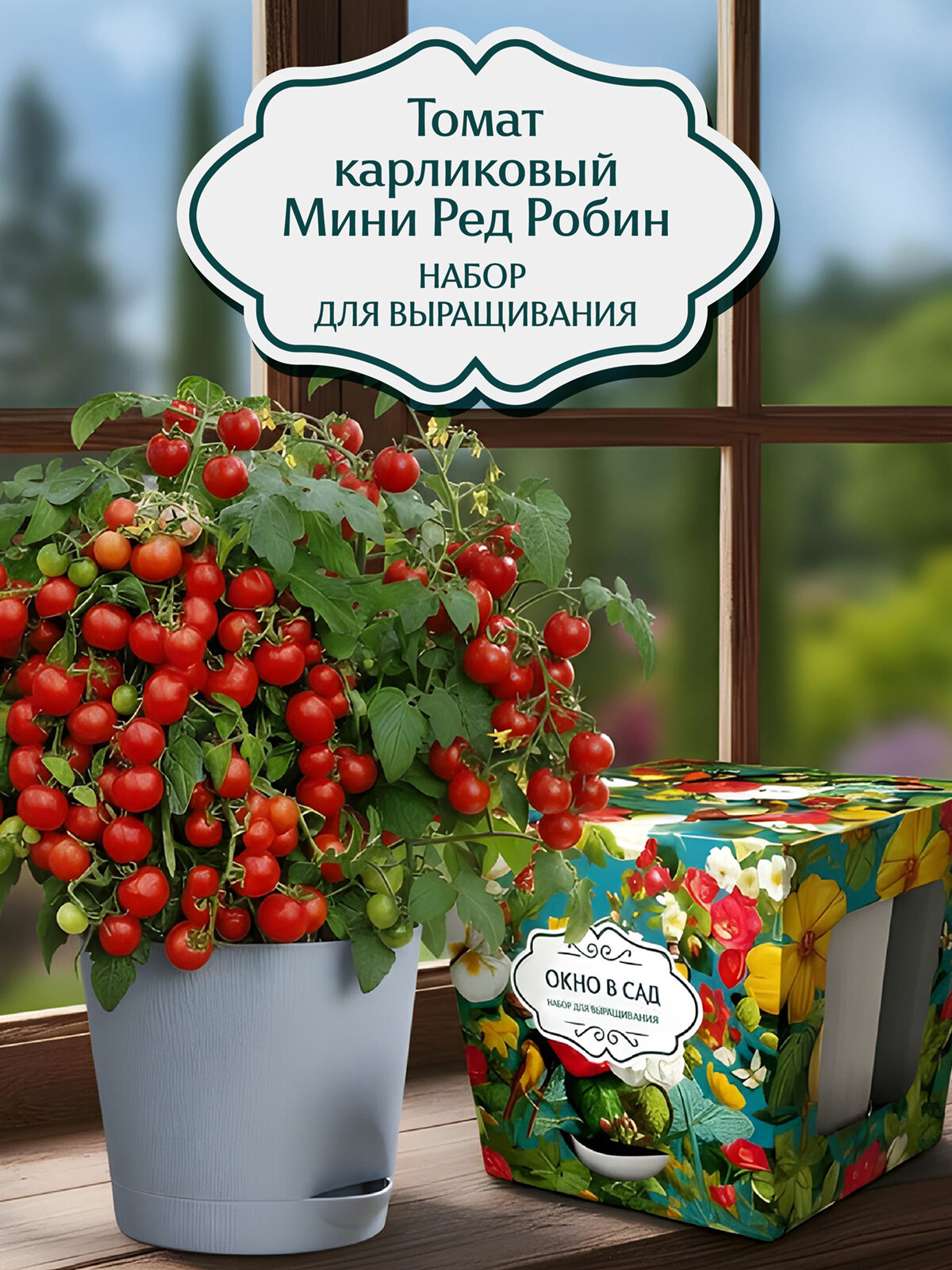 Томат карликовый Набор для выращивания от бренда "Окно в сад"