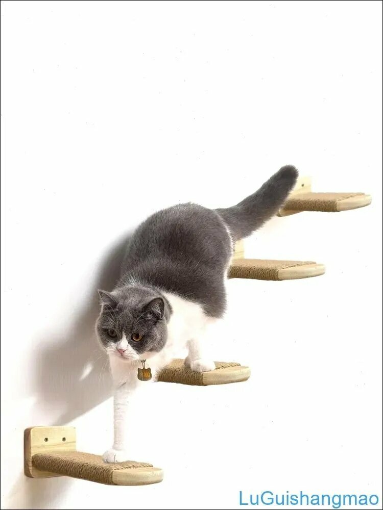 Ступени-лестница для кошек на стену 4 шт