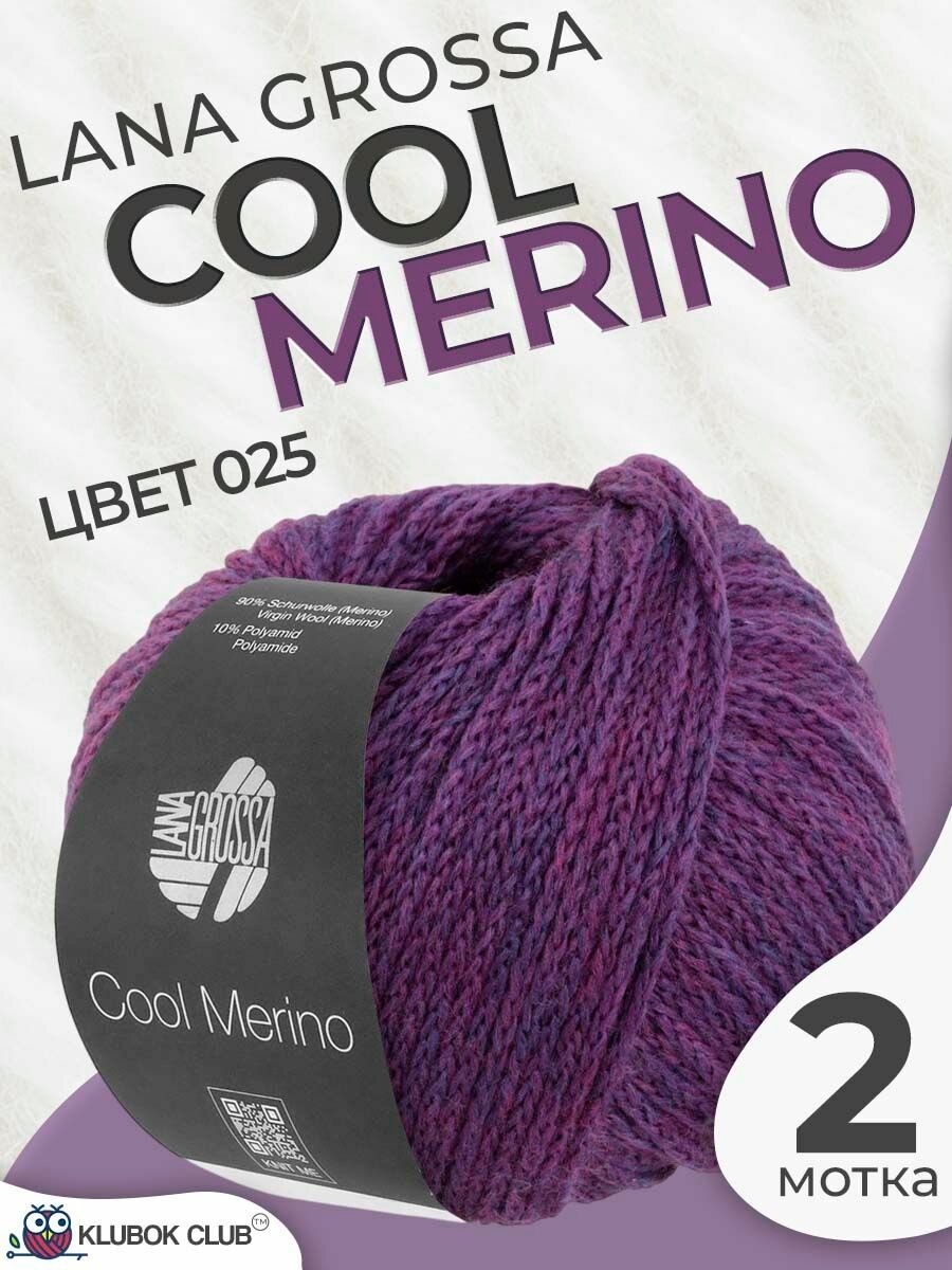 Пряжа для вязания Lana Grossa Cool Merino шнурок, цвет 025, 2 мотка