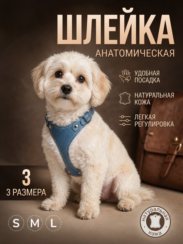Шлейка из натуральной кожи для маленьких собак и кошек до 5кг