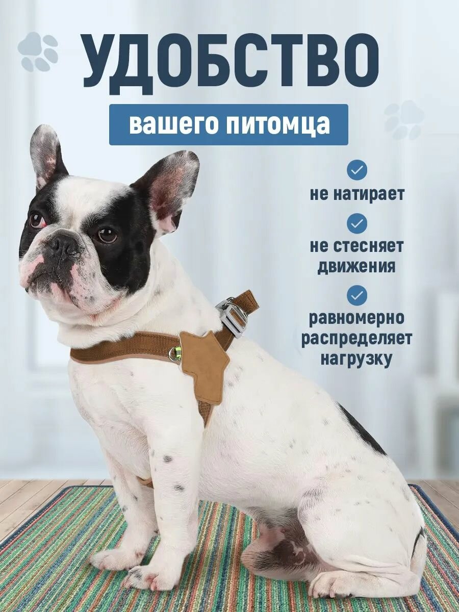 Шлейка — фото 1