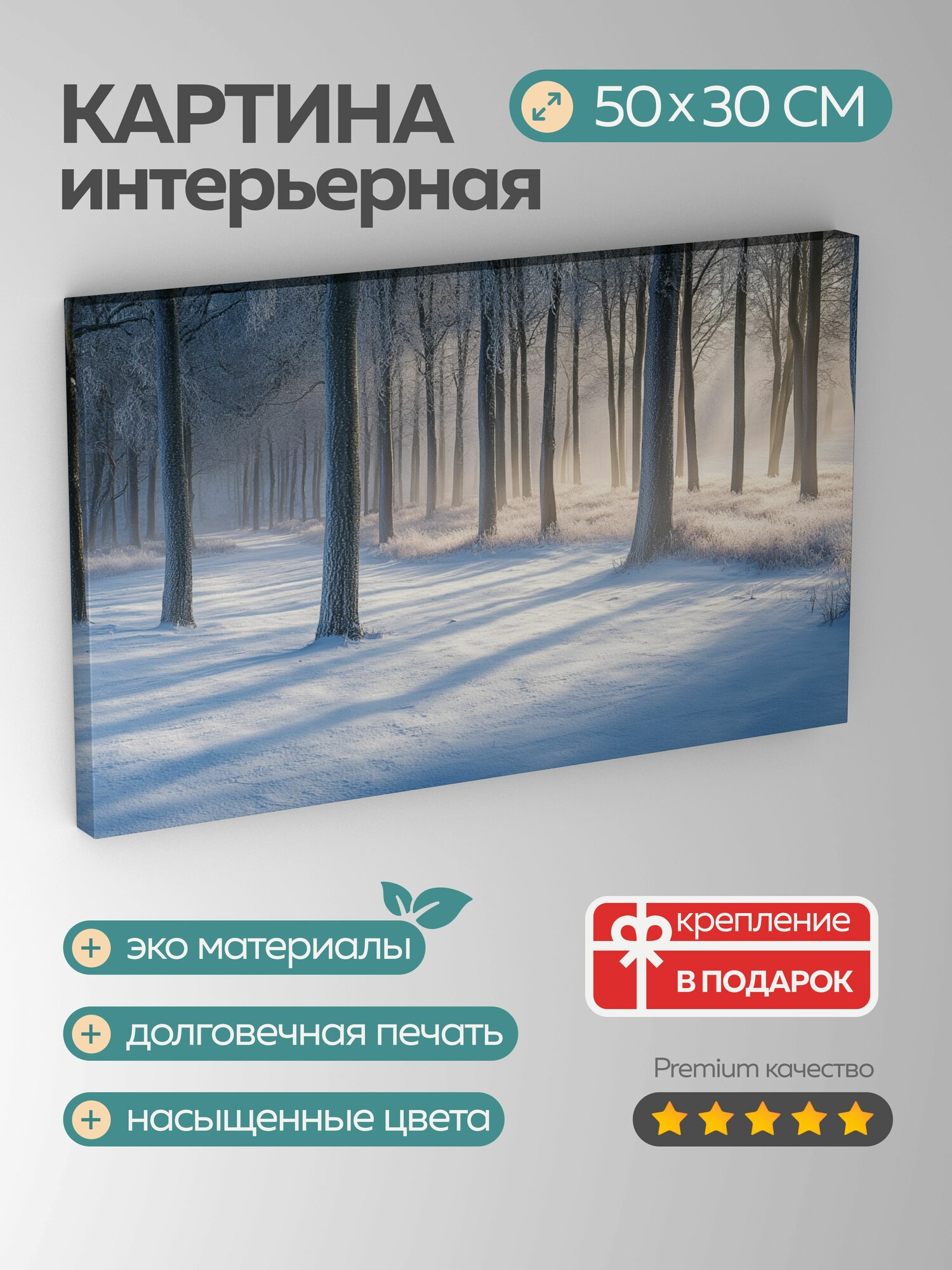 Картина на холсте интерьерная 50х30 см, зимний лес, мороз, рассвет, солнечные лучи, тени, заснеженная земля, красота, f