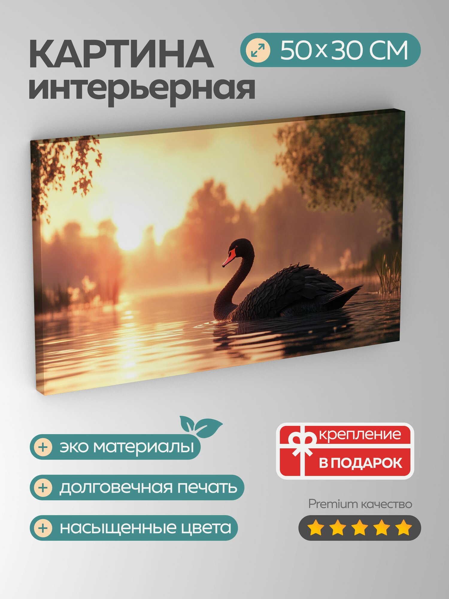 Картина на холсте интерьерная 50х30 см, Черный лебедь, высокое разрешение, озеро, скользящий, золотистое сияние
