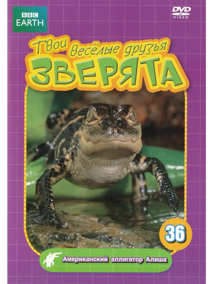 BBC: Американский аллигатор Алиша (DVD-R)