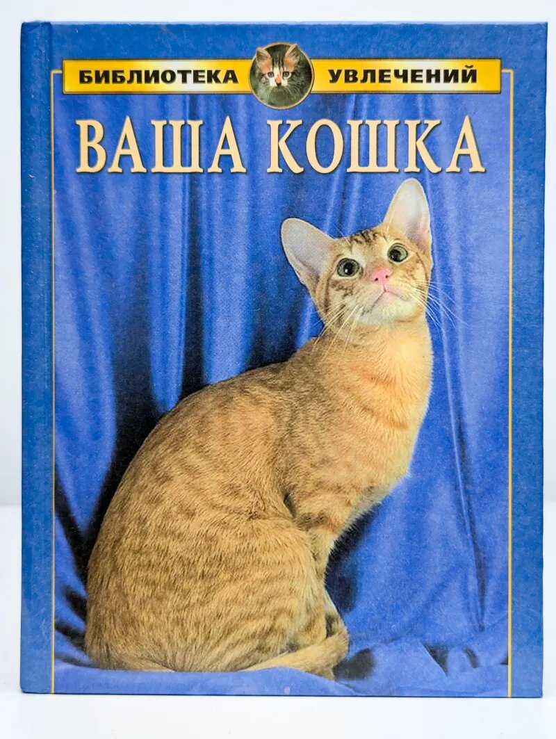 Ваша кошка